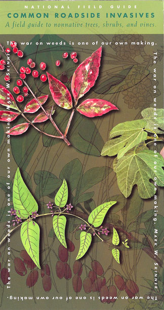 Illustrated Roadside Field Guides | ArtPlantae Today