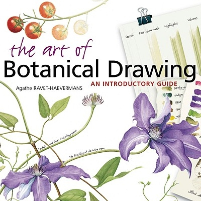 Botanical Drawing for Beginners | ArtPlantae Today