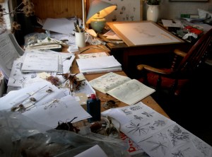 Sarah Simblet Takes Artists Behind-the-Scenes | ArtPlantae Today