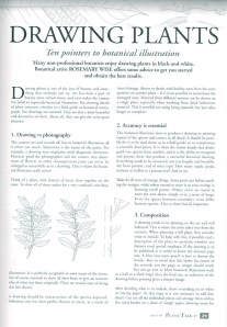 How to Draw Plants for Documentation | ArtPlantae Today