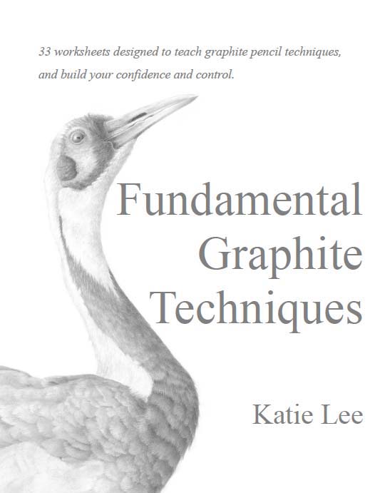 Learn Fundamental Graphite Techniques from Katie Lee | ArtPlantae Today