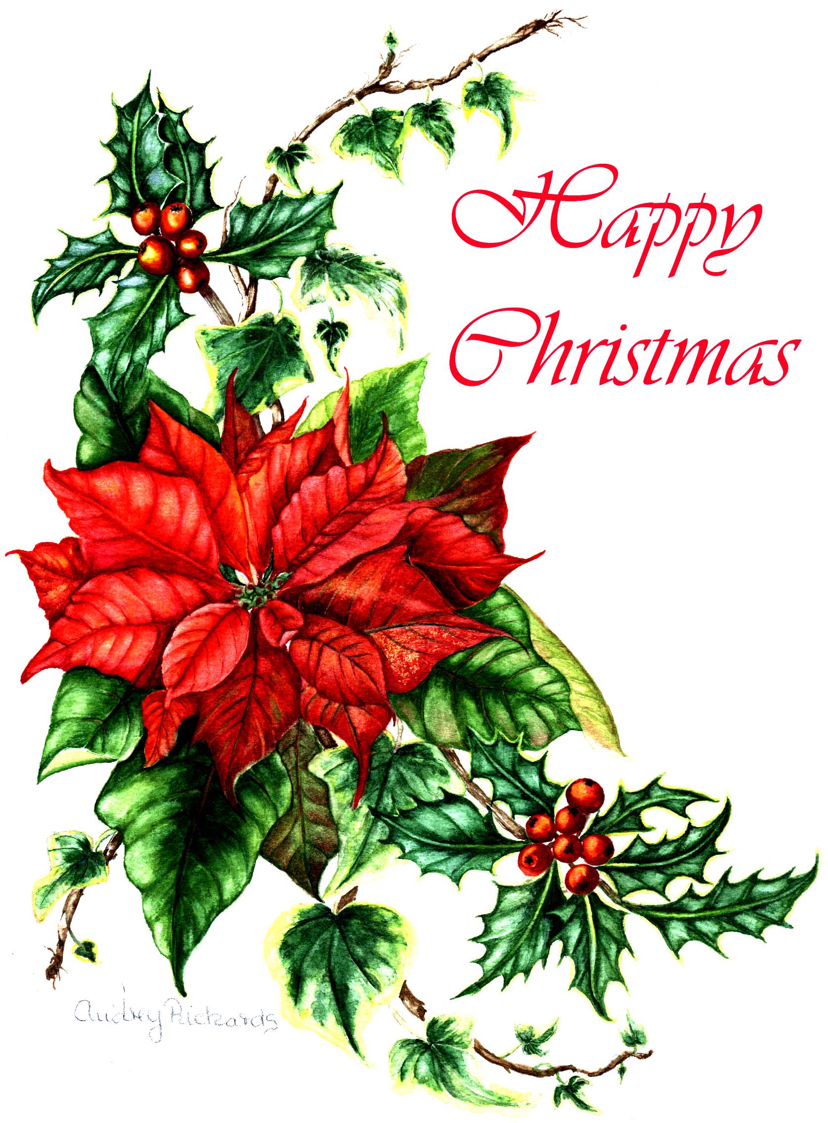 Capturing Strong Reds | ArtPlantae Today