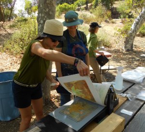 Exhibition Celebrates Books, Monoprints & Nature | ArtPlantae Today