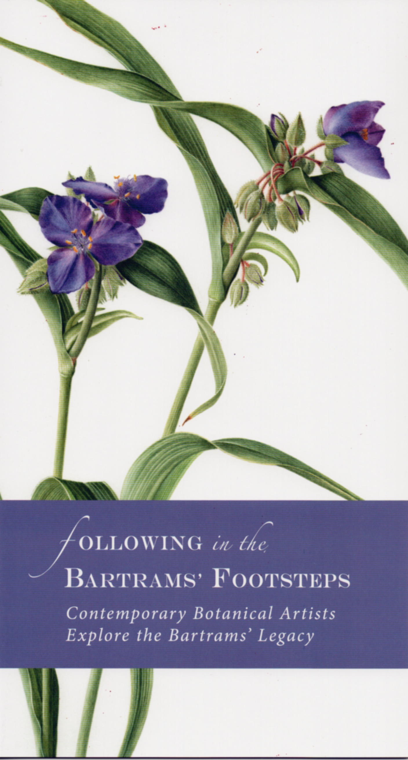 Booklet About Bartram Botanical Art Exhibition Now Available ...