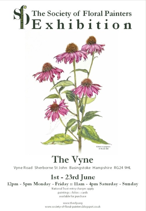 Botanical Art Exhibition at The Vyne | ArtPlantae Today