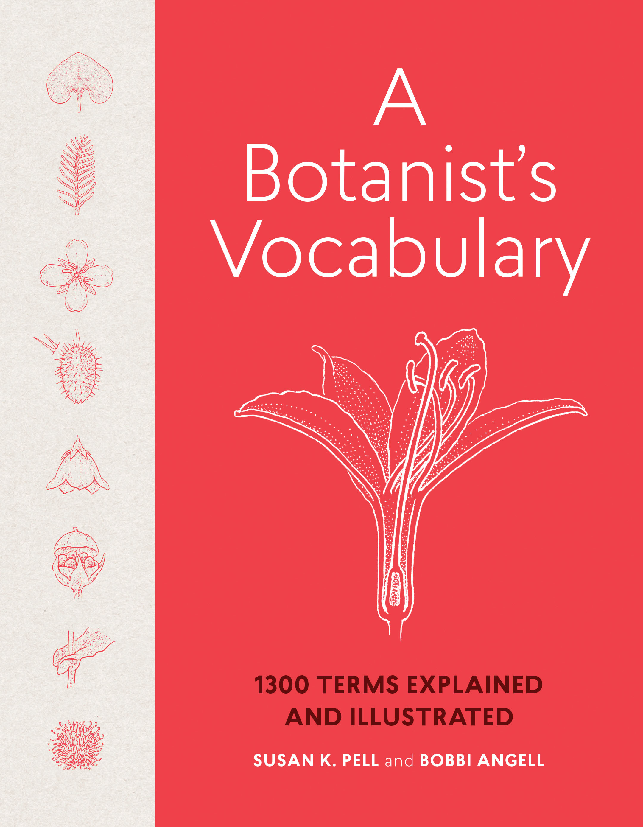 ‘A Botanist’s Vocabulary’ is illustrated introduction to the plant ...